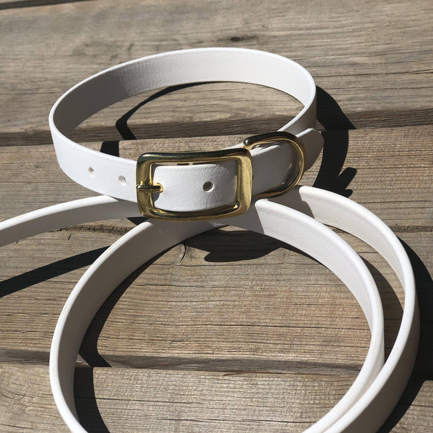 Dog Collar Vegan Leather | Wag Swag Brand | White– Wag Swag Brand Inc