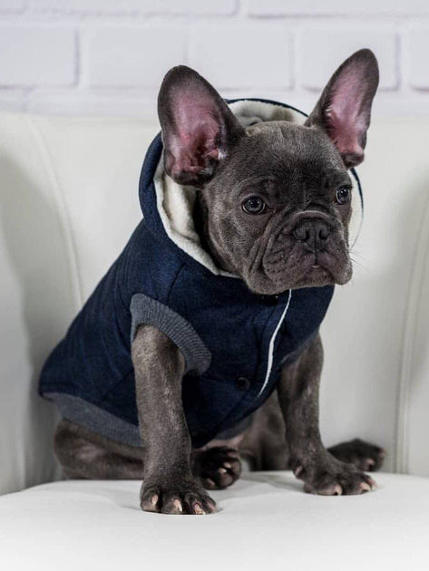 Toronto Parka Blue– Wag Swag Brand Inc